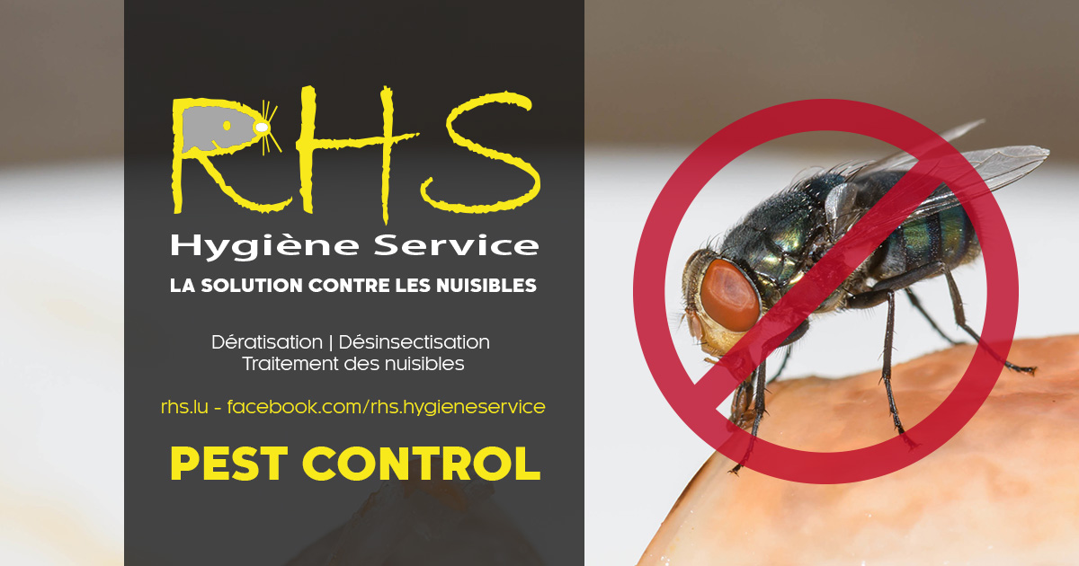 RHS Hygiène Service - Pest Control mouches désinsectisation et traitement